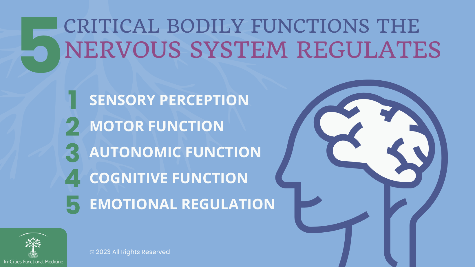 Learn 10 Ways To Support Nerve Health | Tri-Cities